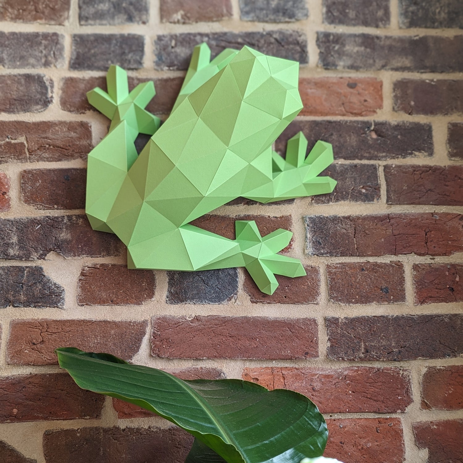 Darius the Frog | DIY Paper Craft Animal Kit – Resident