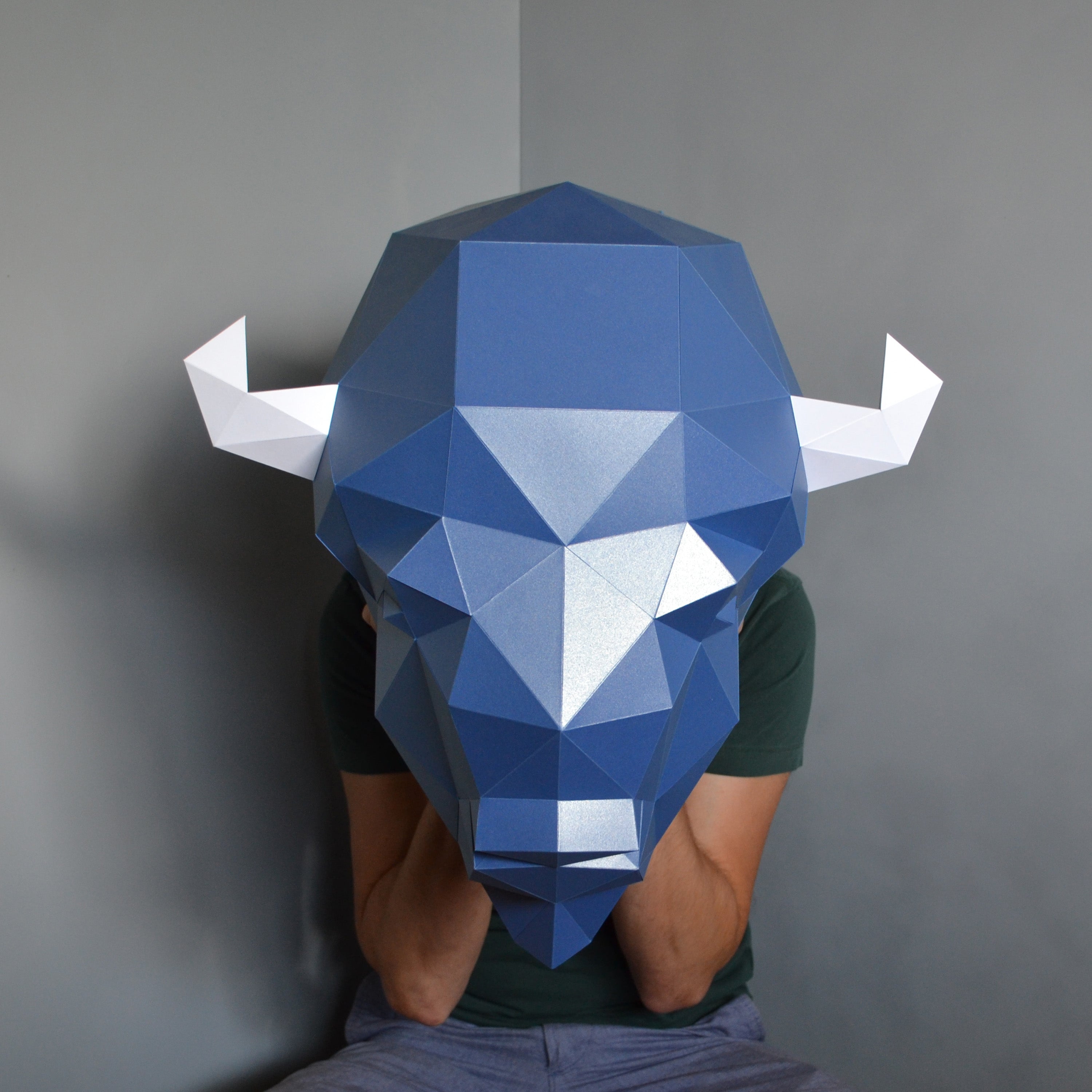 Gabriel the Buffalo | DIY Paper Craft Animal Kit – Resident