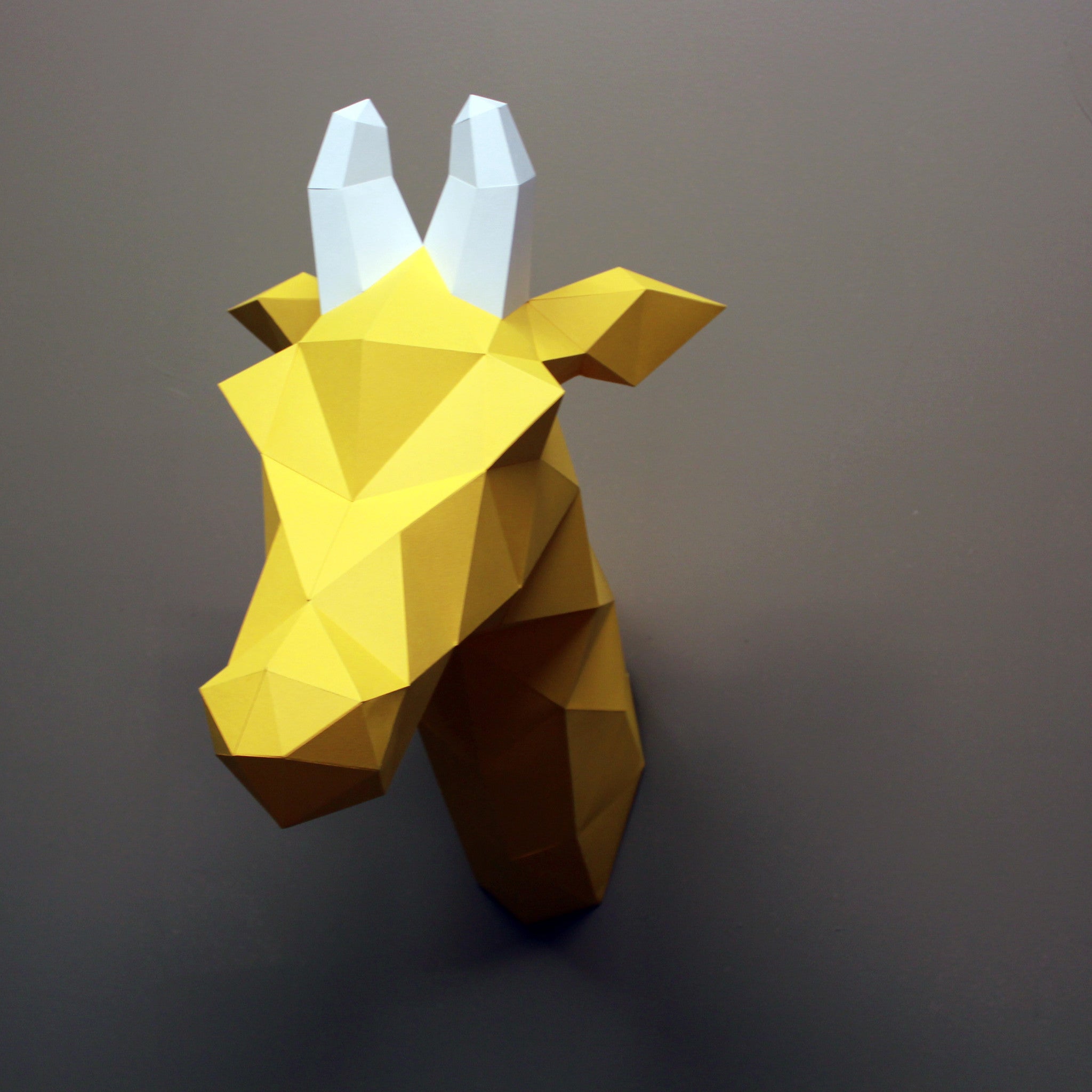 Louise the Giraffe | DIY Paper Craft Animal Kit – Resident